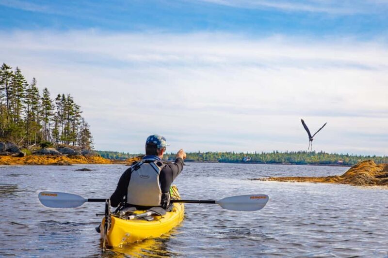 Nova Scotia: Guided Half-Day LaHave Islands Sea Kayak Tour - Introduction: A New Way to Discover Nova Scotias LaHave Islands