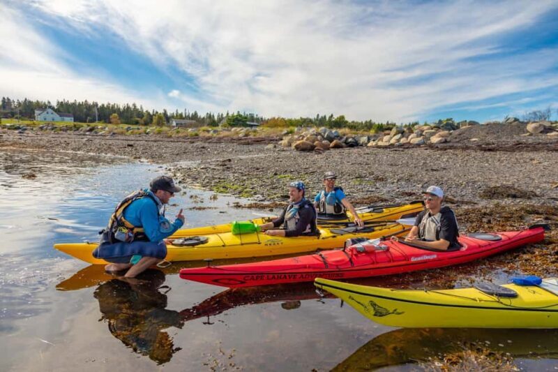 Nova Scotia: Guided Half-Day LaHave Islands Sea Kayak Tour - Key Points