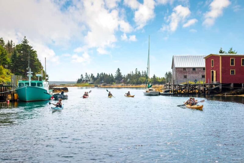 Nova Scotia: Guided Half-Day LaHave Islands Sea Kayak Tour - The Experience: Value, Equipment, and Accessibility