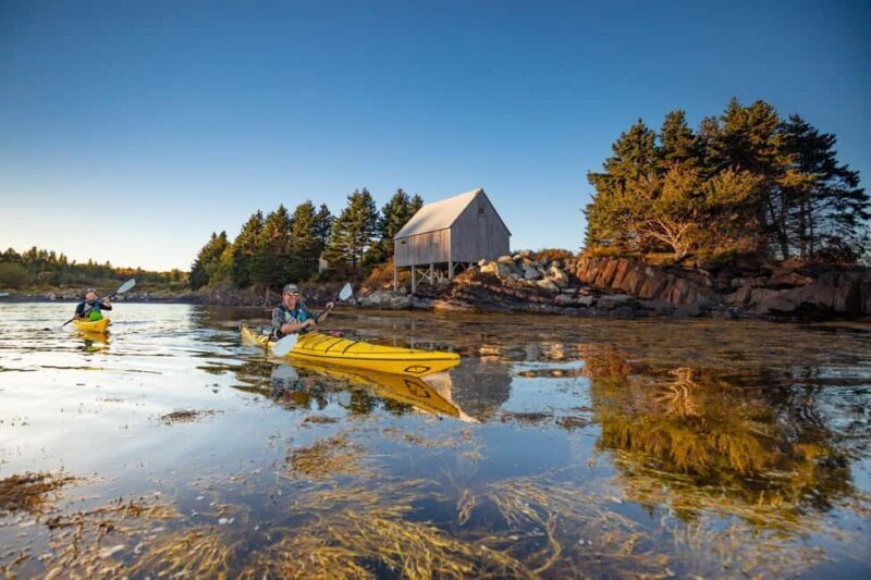 Nova Scotia: Guided Half-Day LaHave Islands Sea Kayak Tour - Who Will Love This Tour?