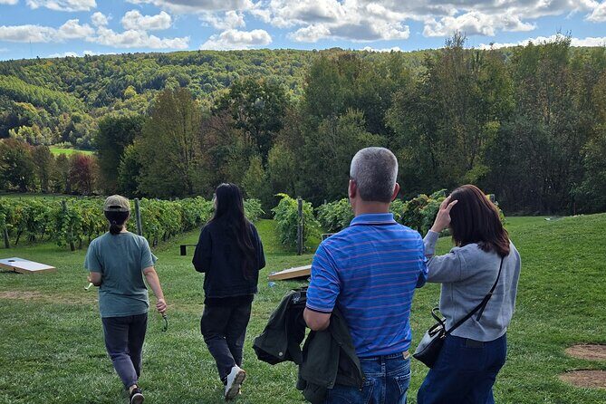 Nova Scotia Wine and Lobster Experience from Halifax - The Itinerary in Depth