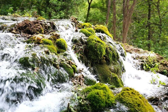 NP Krka waterfalls & Wine tasting - Private day tour from Split - The Itinerary: What to Expect