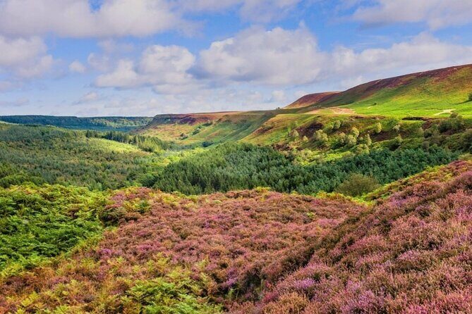Nth York Moors National Park & Whitby Small Group Day Trip. - Exploring the Itinerary in Detail