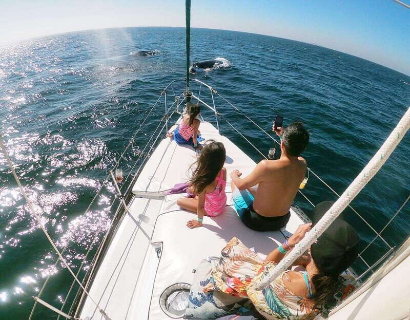Nuevo Vallarta: Whale Watching by Sailboat Tour - An Authentic Whale Watching Experience in Nuevo Vallarta