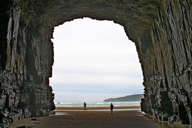 Nugget Point and Cathedral Caves Private Tour from Dunedin - Key Points