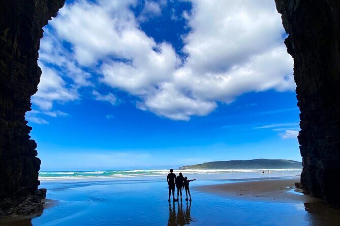 Nugget Point and Cathedral Caves Private Tour from Dunedin - Why This Tour Stands Out