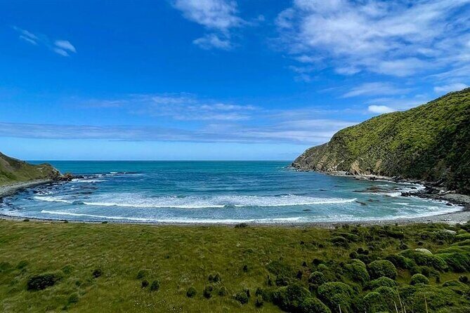 Nugget Point and Cathedral Caves Private Tour from Dunedin - Transportation and Duration