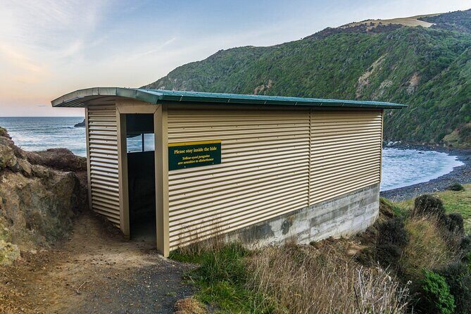 Nugget Point and Cathedral Caves Private Tour from Dunedin - Price and Value