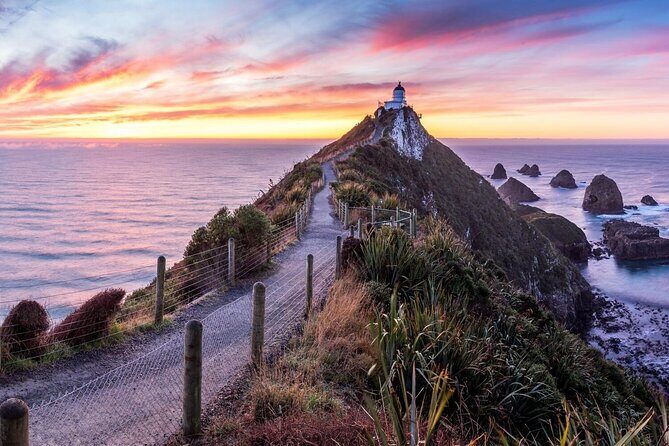 Nugget Point and Cathedral Caves Private Tour from Dunedin - Final Thoughts