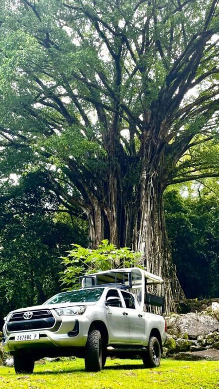 Nuku Hiva: 3 Valleys Tour, Taipivai, Hatiheu, and Aakapa - Key Points