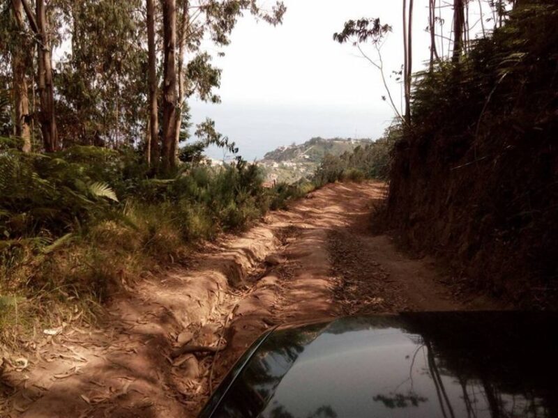 Nuns Valley Half Day Trip 4x4 Jipe Tour - Discover Madeira’s Spectacular Landscape in Comfort and Style