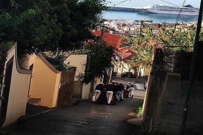 Nuns Valley/Monte with sledge ride. - Who Should Consider This Tour?