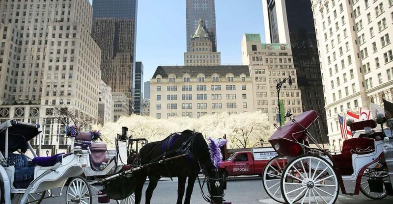 NYC: Central Park Christmas Lights Horse-Drawn Carriage Ride - Who Is This Tour Best For?