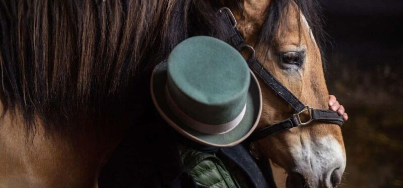 NYC: Central Park Horse-Drawn Carriage Ride - An In-Depth Look at the Experience