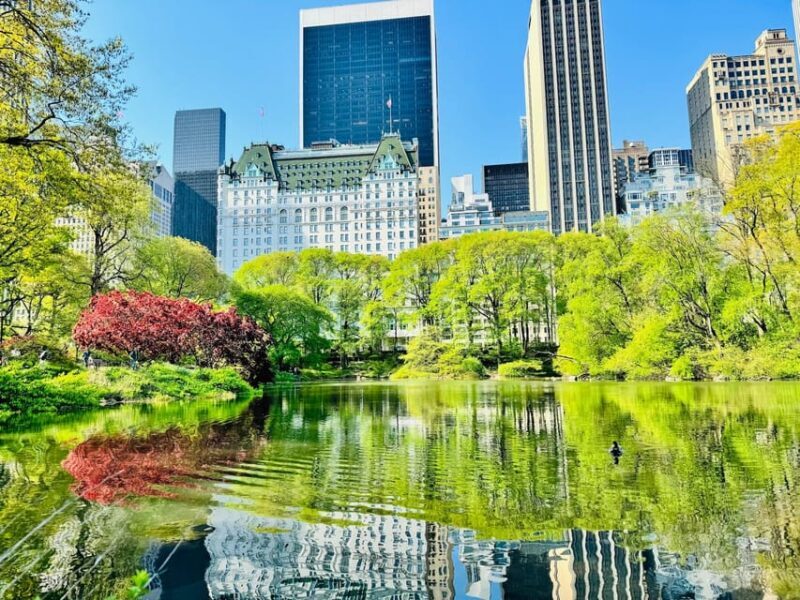 NYC: Central Park Pedicab Tour with Photo Stops - Key Points