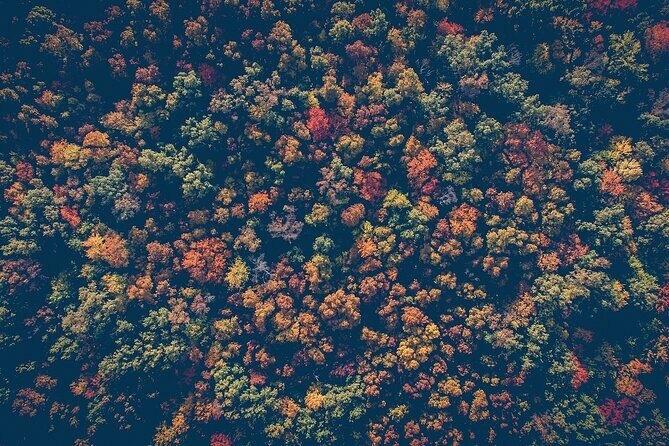 NYC Fall Foliage Cruise - In Closing