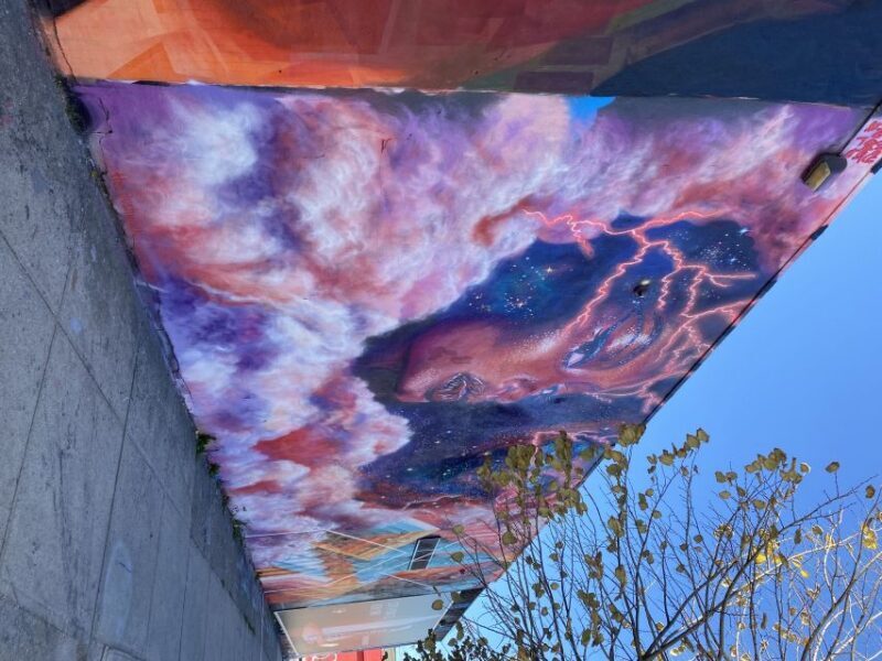 NYC | French guided tour Bushwick & Williamsburg - Who Will Love This Tour?