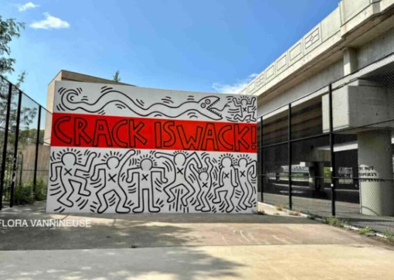 NYC | French guided tour Hip-Hop in East Harlem & Bronx - What Reviewers Say About This Tour