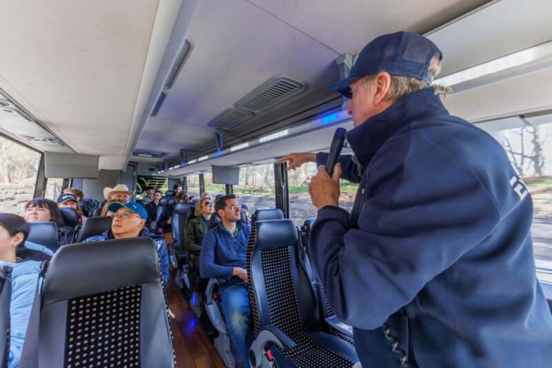 NYC: Half-Day Luxury Bus Tour with Empire State Access - Insights from Reviews