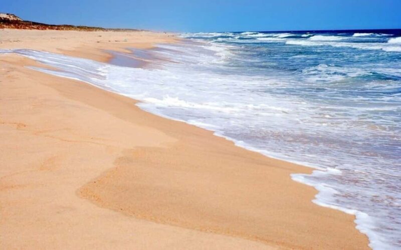 NYC: Hamptons Private Day Tour - What Makes This Tour Stand Out?