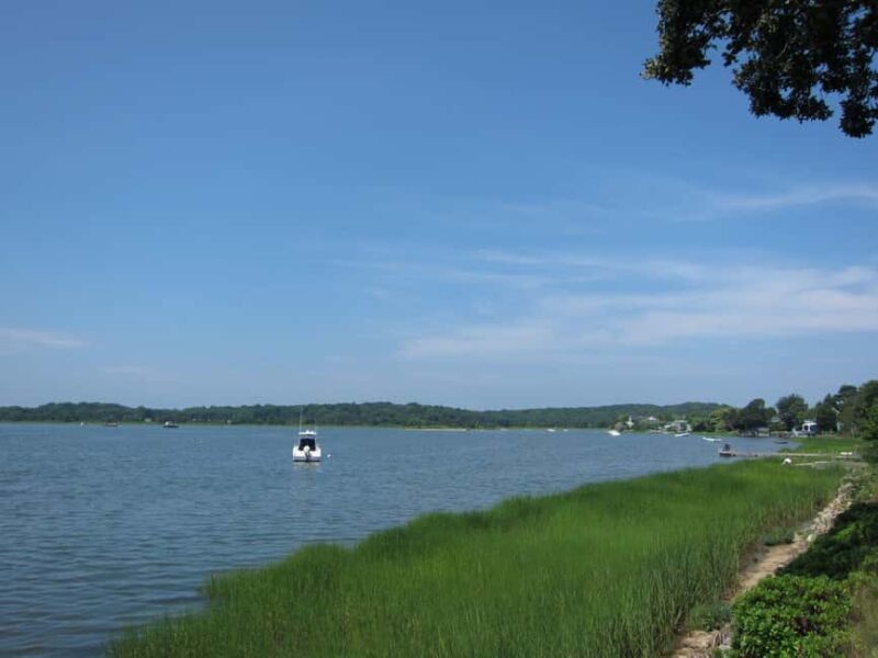 NYC: Hamptons Private Day Tour - The Price and Its Value