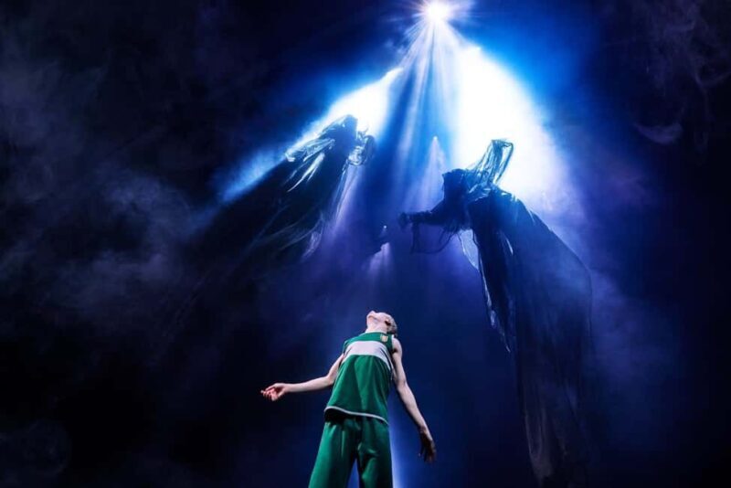 NYC: Harry Potter and the Cursed Child on Broadway - Authentic Experiences from Reviewers