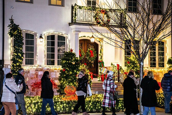 NYC Holiday Lights and Dyker Heights Luxury Bus Tour - A Detailed Look at the Tour Experience