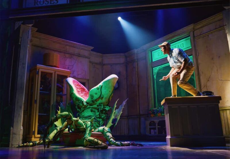NYC: Little Shop of Horrors Off-Broadway Ticket - Final Thoughts