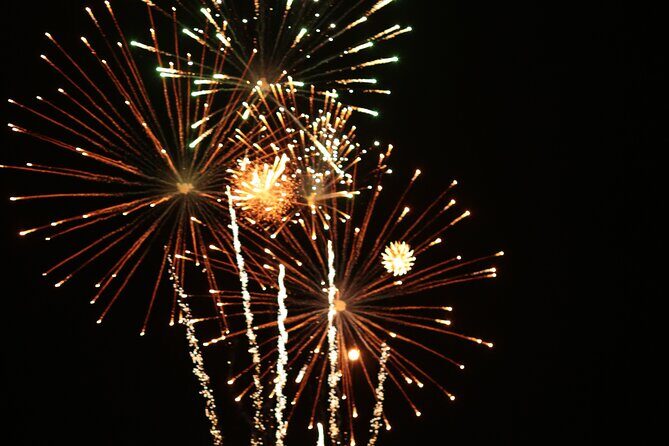 NYC New Years Eve Fireworks Cruise & Plated Dinner, Open Bar - An Inside Look at the NYC New Years Eve Fireworks Cruise