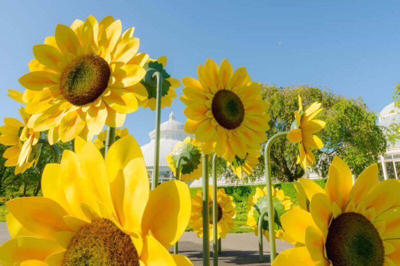 NYC: New York Botanical Garden Pass - Navigating the Gardens