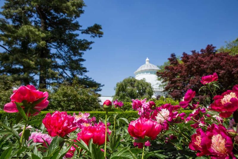 NYC: New York Botanical Garden Pass - Accessibility and Practical Tips