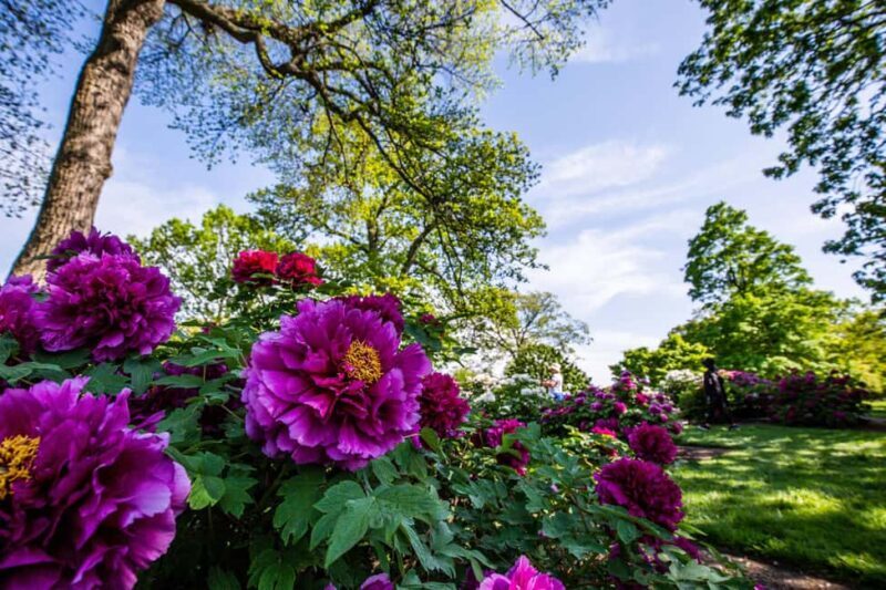 NYC: New York Botanical Garden Pass - Value and Pricing