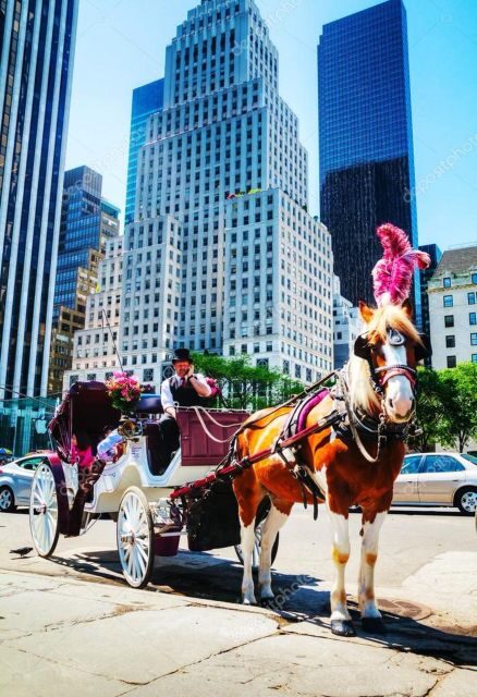NYC Private Central Park Horse Carriage Ride with Guide - A Detailed Look at the Experience