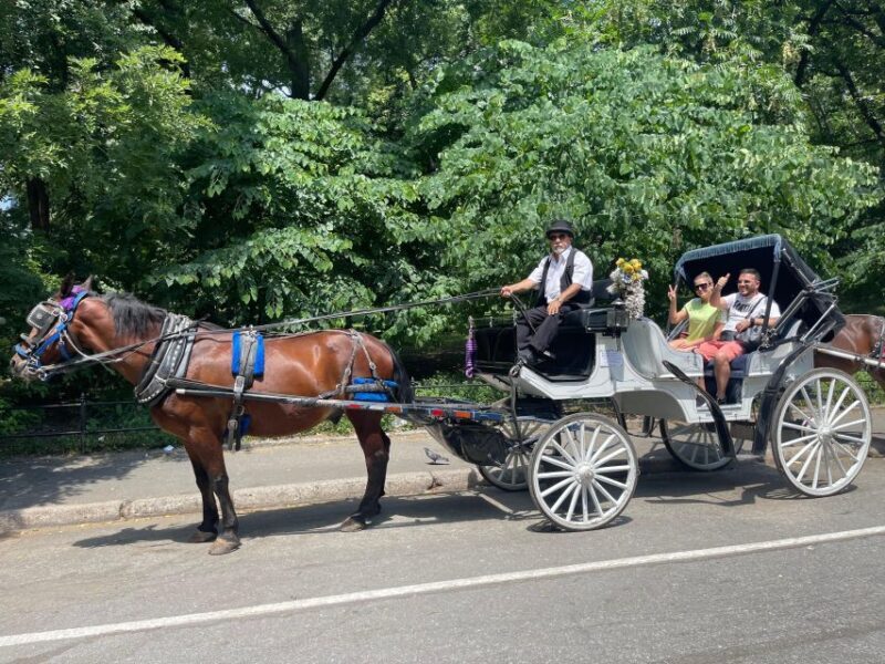NYC Private Central Park Horse Carriage Ride with Guide - Who is This Tour Best For?
