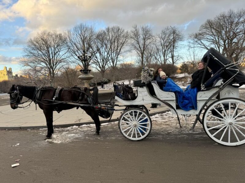 NYC Private Central Park Horse Carriage Ride with Guide - Summary