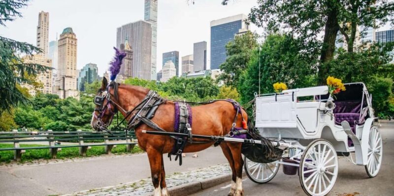 NYC: Private Christmas Lights Horse Carriage Ride - An In-Depth Look at the Experience