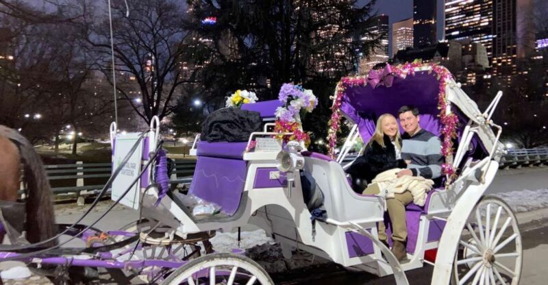 NYC: Private Christmas Lights Horse Carriage Ride - Key Points