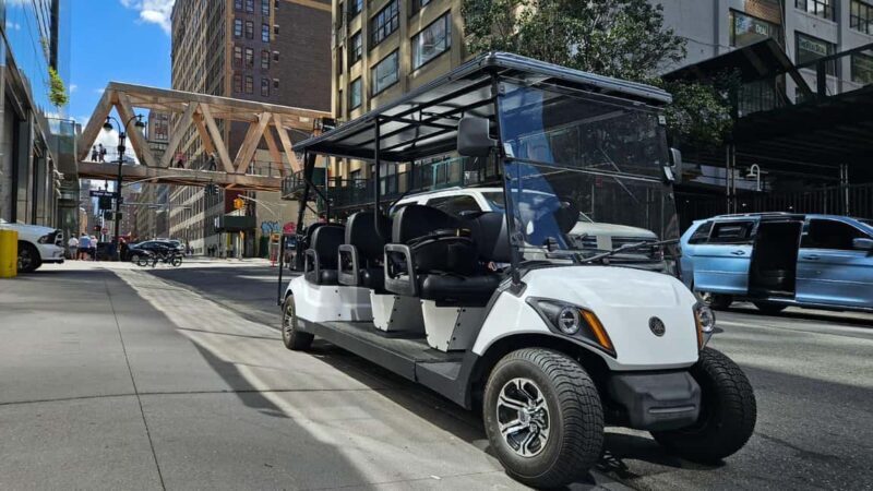 NYC:Midtown,Chelsea &West Village Guided City Tour by E-Cart - What Could Be Better?