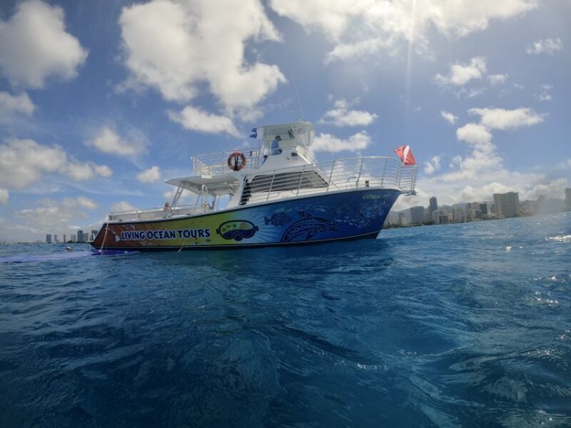 Oahu: BYOB or Cash Bar Waikiki Sunset Cruise - Key Points