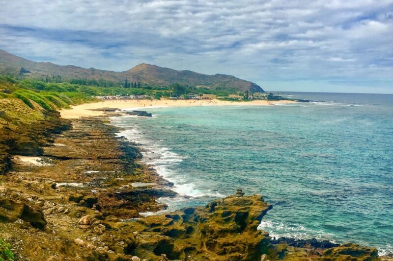 Oahu: Circle Island Top Sights Full-Day Tour w/ Local Guide - Authentic Insights from Reviewers