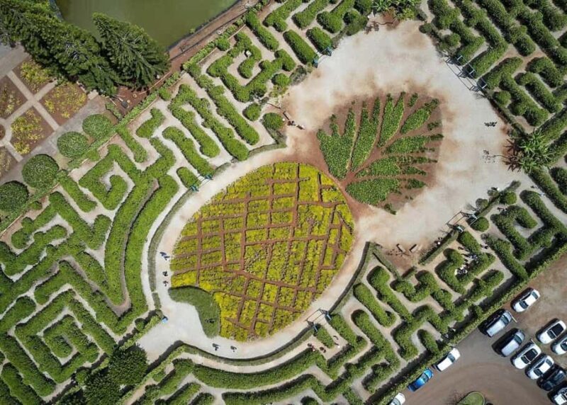 Oahu: Dole Plantation & Haleiwa Express Deluxe Tour - Detailed Review of the Tour