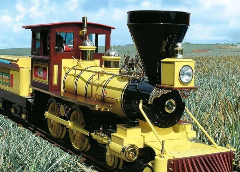 Oahu: Dole Plantation & Haleiwa Express Deluxe Tour - FAQ