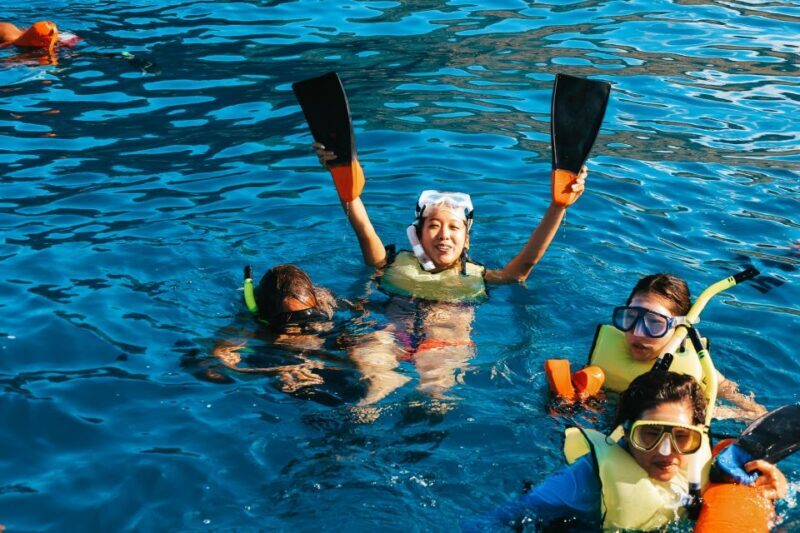 Oahu Dolphin Watch, Turtle Snorkel, Waterslide Activities - FAQs