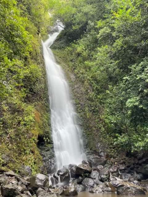 Oahu: Hidden Hawaii Waterfall Hike and Beach Tour - An In-Depth Look at the Oahu Waterfall and Beach Tour