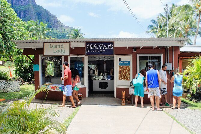 Oahu Highlights Private Tour: Nature, Views & Turtles in 6 Hours - Experience and Itinerary Breakdown