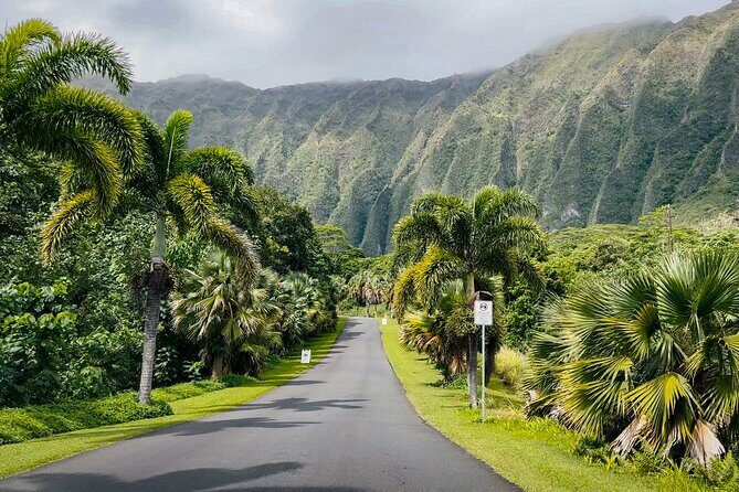 Oahu Highlights Private Tour: Nature, Views & Turtles in 6 Hours - FAQ