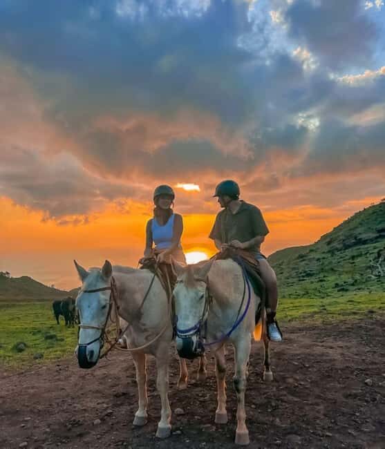 Oahu: Horseback Riding Sunshine or Sunset Tour - The Experience: A Closer Look at the Tour