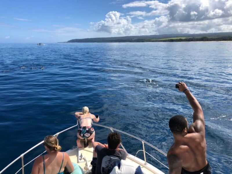 Oahu: Humpback Whale Watching Tour - An In-Depth Look at the Whale Watching Experience