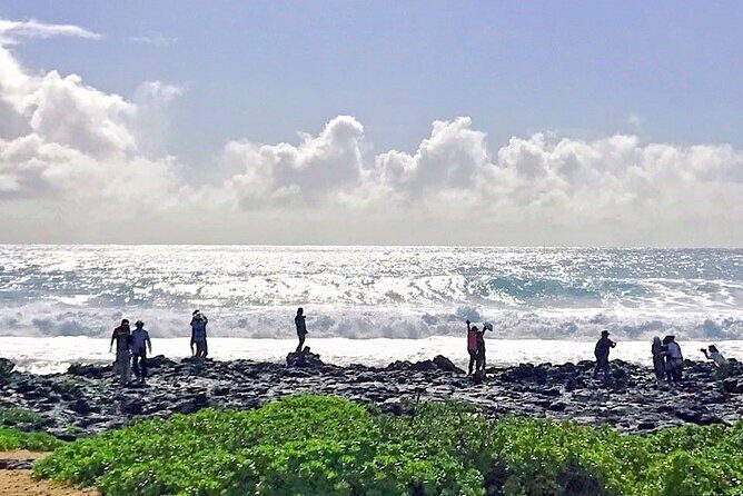 Oahu Island Sightseeing and Food Combo Tour - Scenic and Cultural Stops on the North Shore