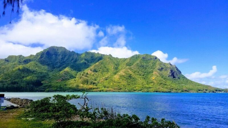 Oahu: North Shore Circle Island Small-Group Tour - Scenic and Lesser-Known Spots